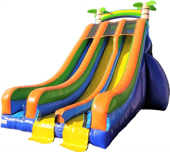Big Inflatable Slide Rental Columbia, SC | Slides for Rent